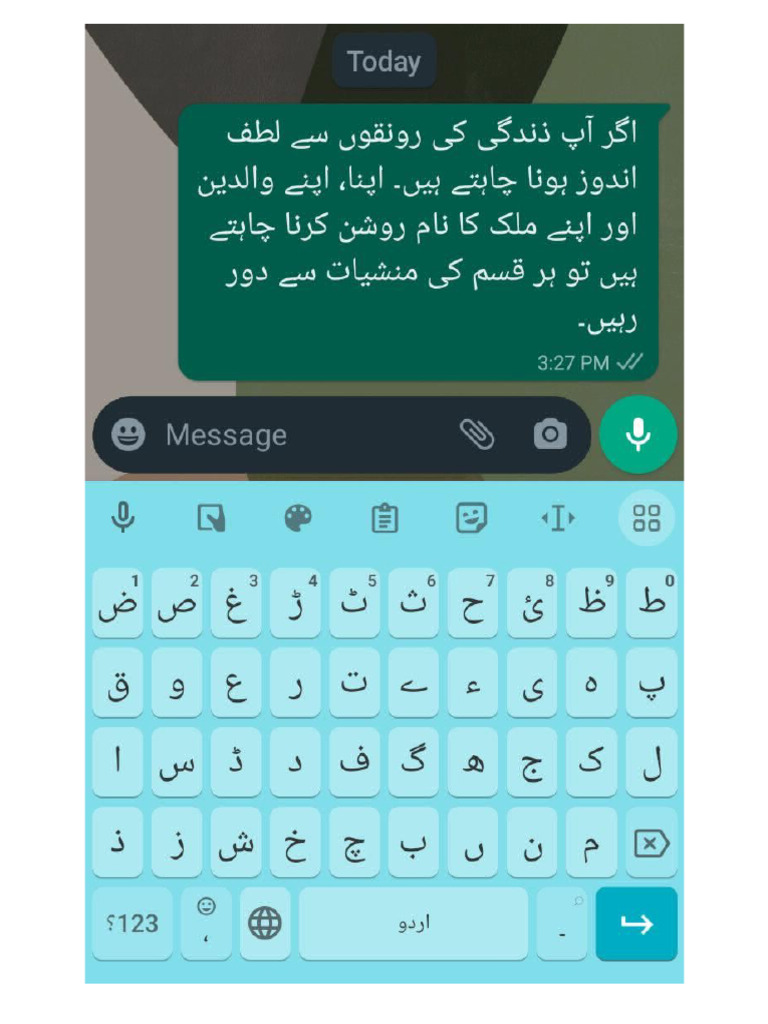 Online Assignment - 1 (Urdu) Kamila Ahsan | PDF