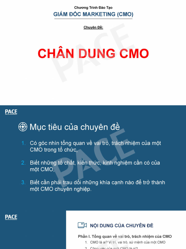 Chan Dung CMO | PDF