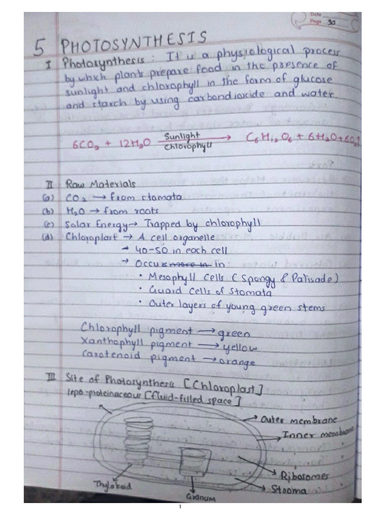Photosynthesis Notes | PDF