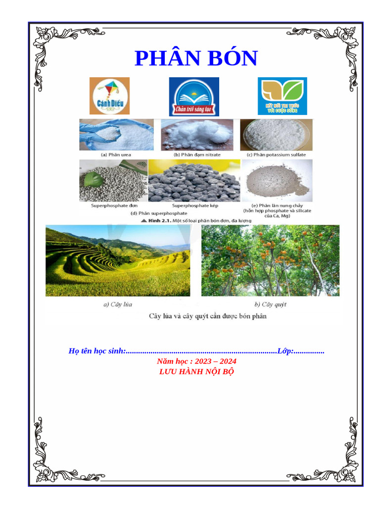 CHUYÊN ĐỀ VỀ PHÂN BÓN | PDF