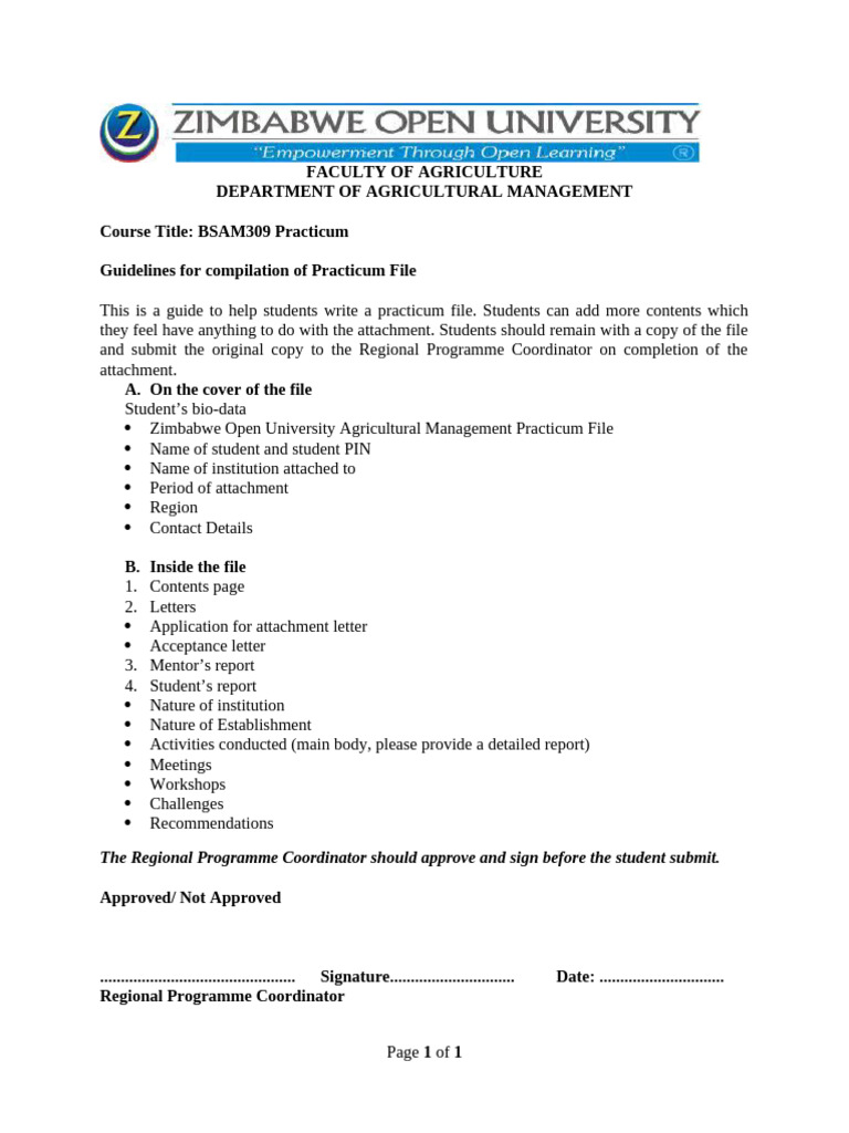 Guidelines for Practicum file (1) | PDF