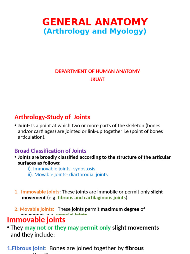 General Anatomy 4 Ann-2021 | PDF | Muscle | Muscle Contraction