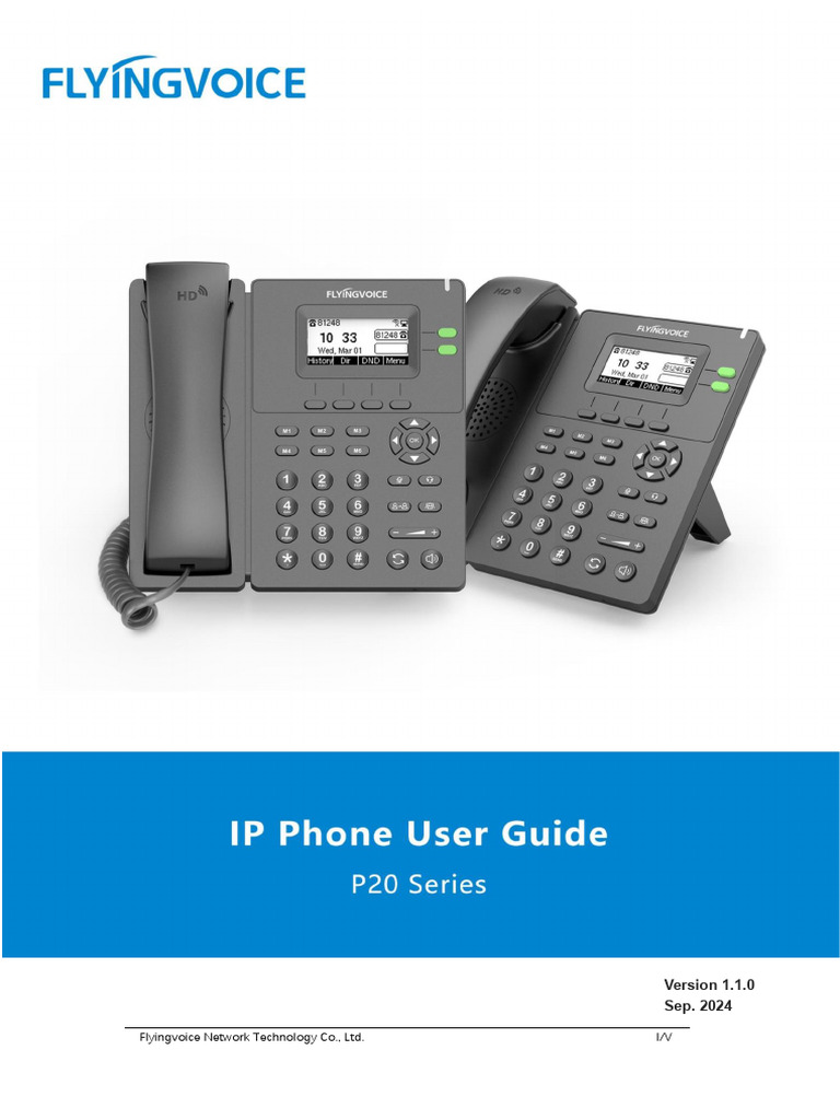 Flyingvoice - P20 Series - User Guide - V1.1 - 20240927 | PDF | Ip ...