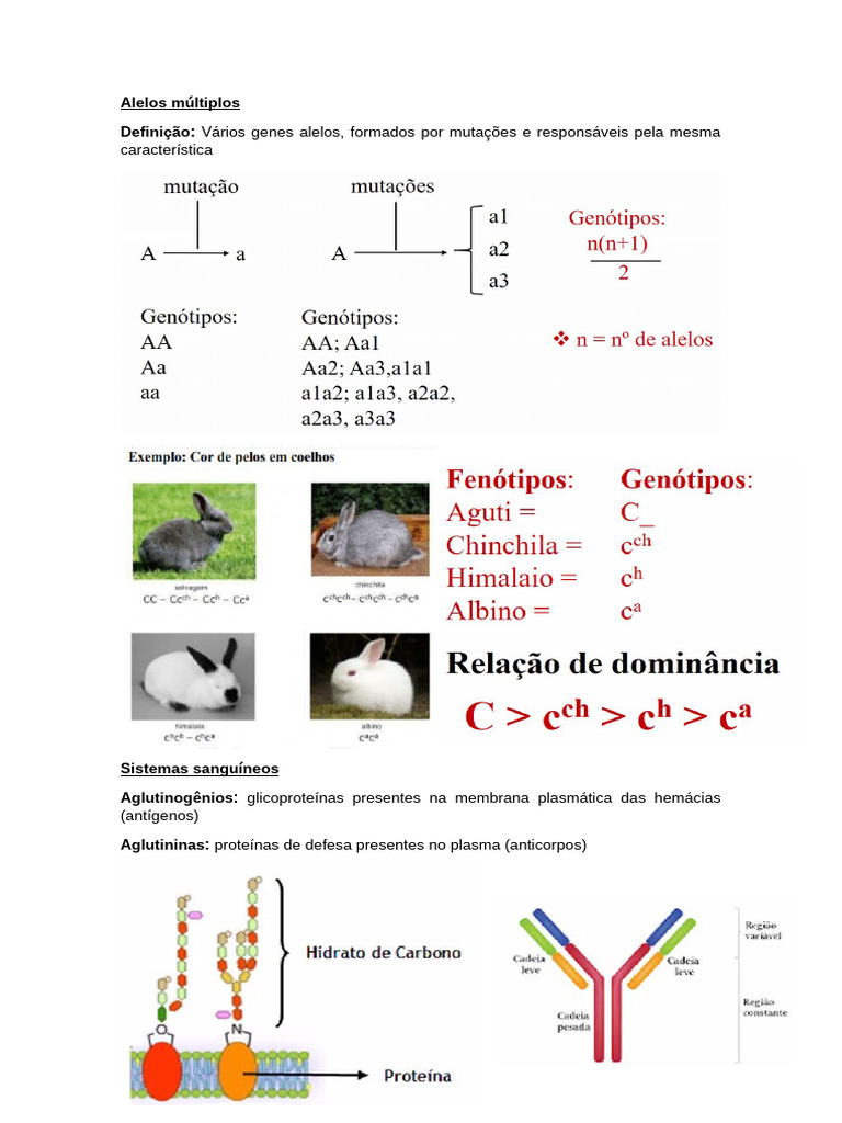 Alelos Múltiplos | PDF