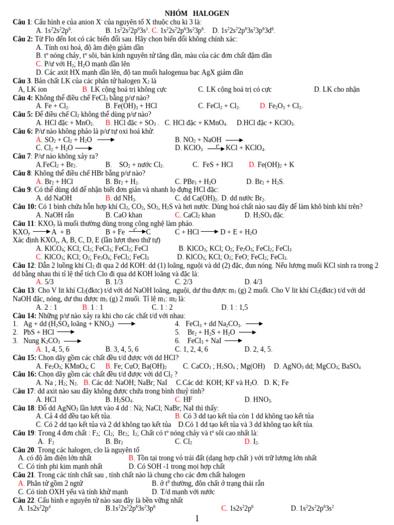 BT Nhóm Halogen | PDF