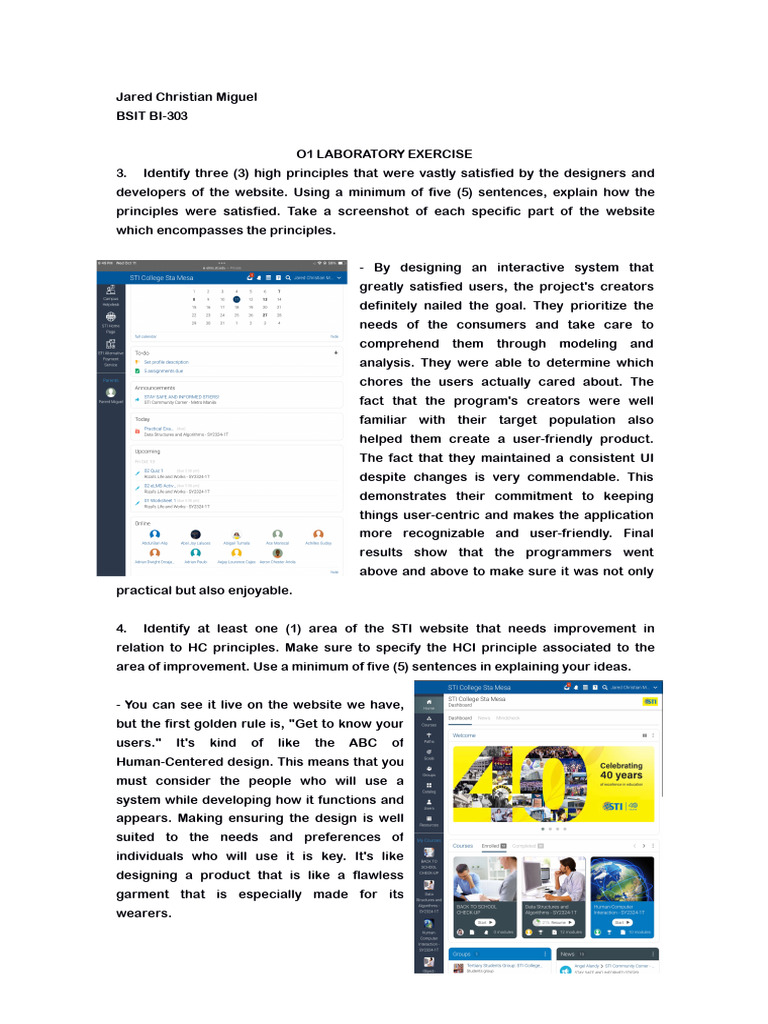 01 LabExer JaredChristianMiguel | PDF | Usability | Cognitive Science