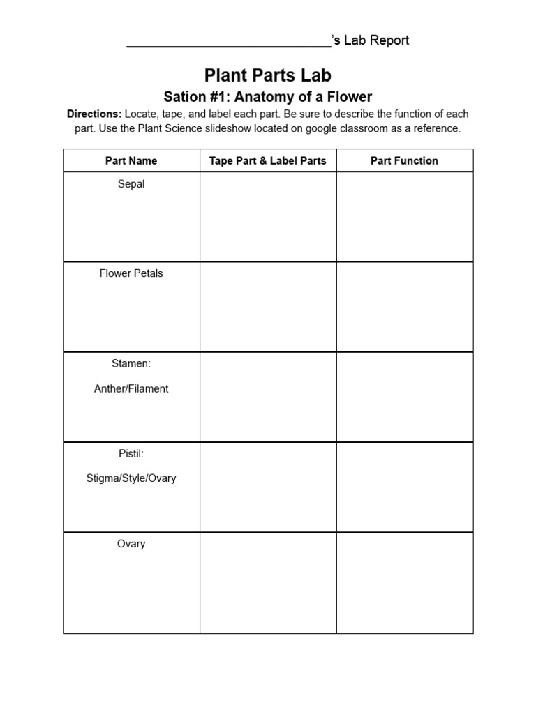 Plant Parts Lab - Anatomy of A Flower | PDF