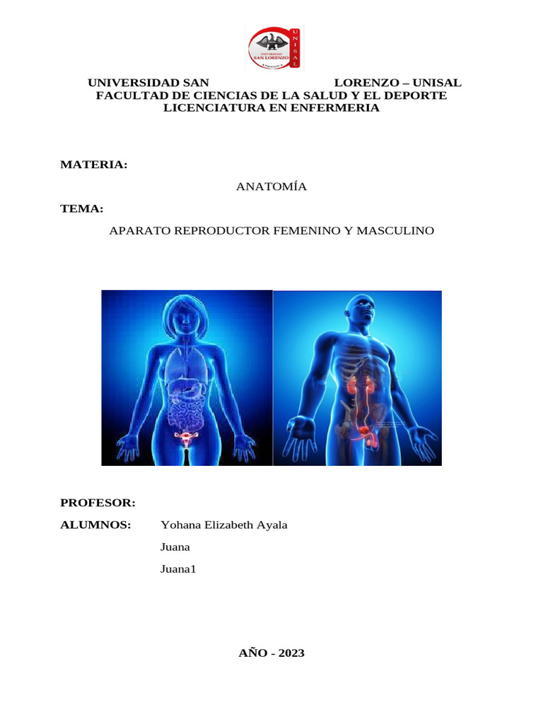 Aparato Reproductor Femenino.docx Anatomia Final | PDF | Labios | Útero