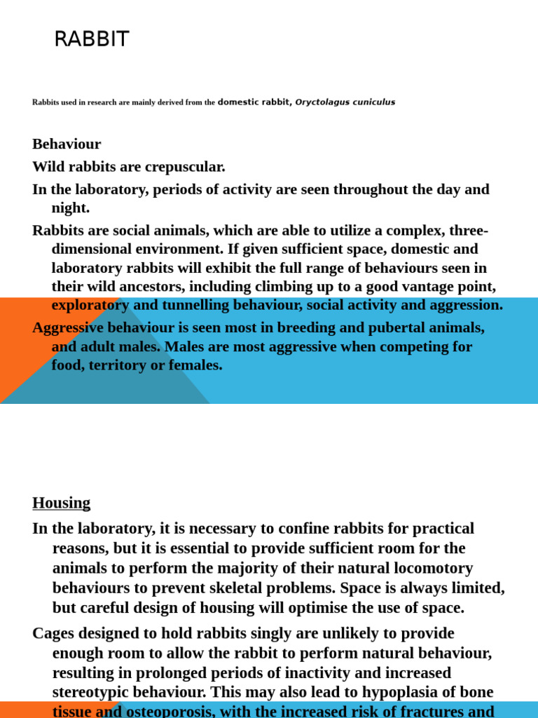 Rabbits | PDF | Rabbit | White Blood Cell