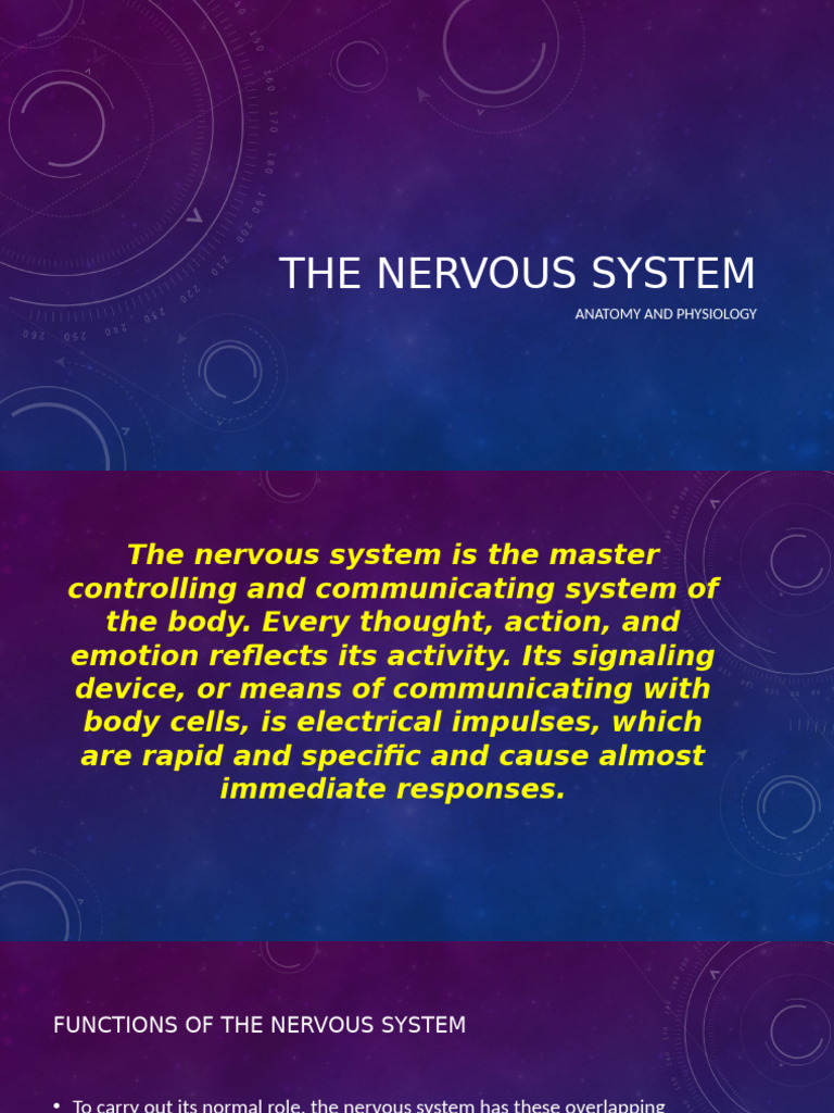 The-nervous-system | PDF | Spinal Cord | Action Potential
