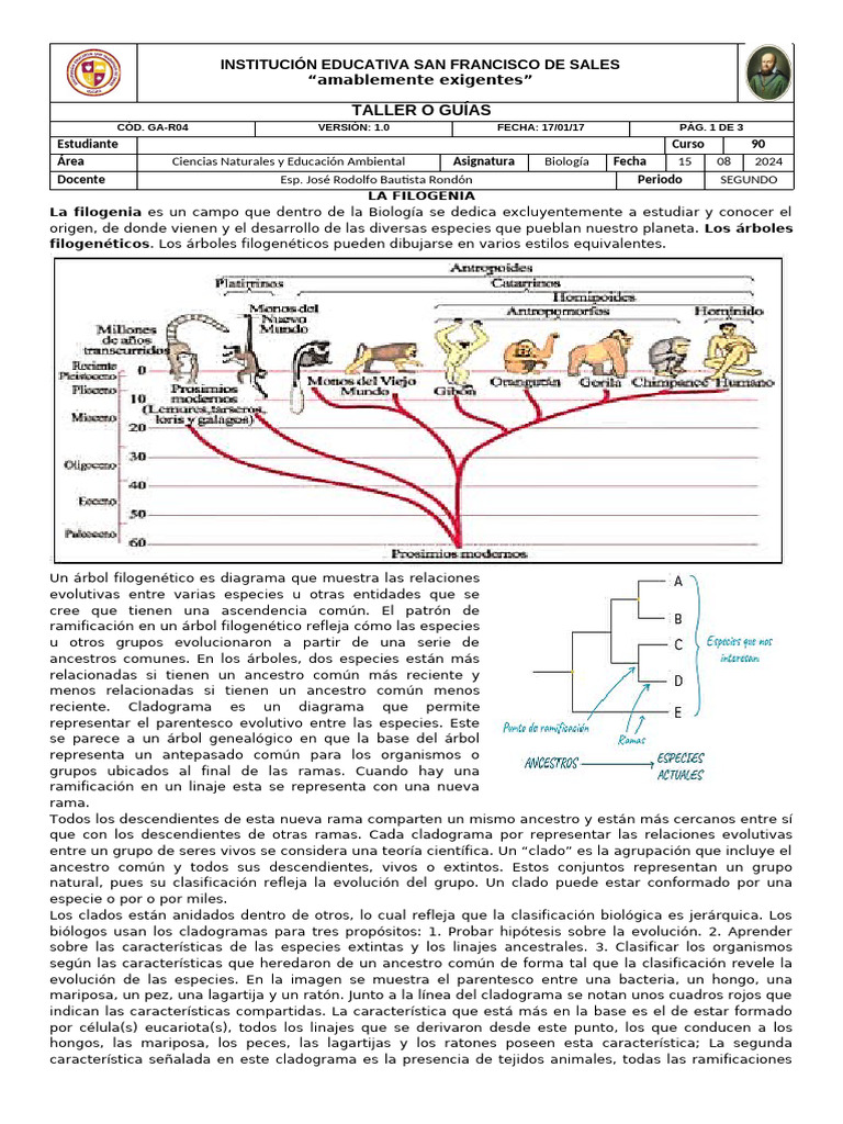 Rey de La Ira Ana Huang | PDF | Filogenética | Clade