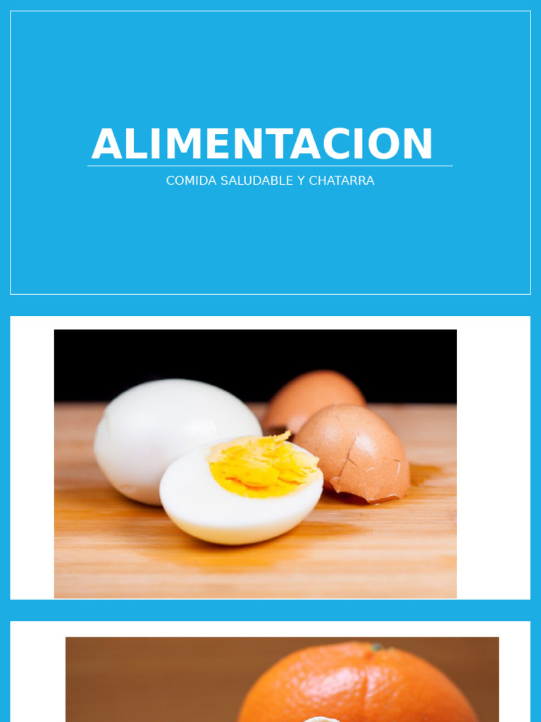 ALIMENTOS | PDF