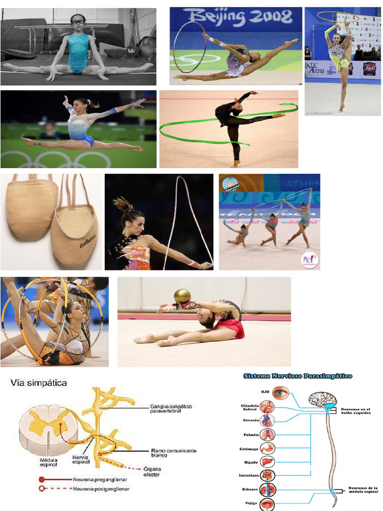 Gimnasia Ritmica | PDF