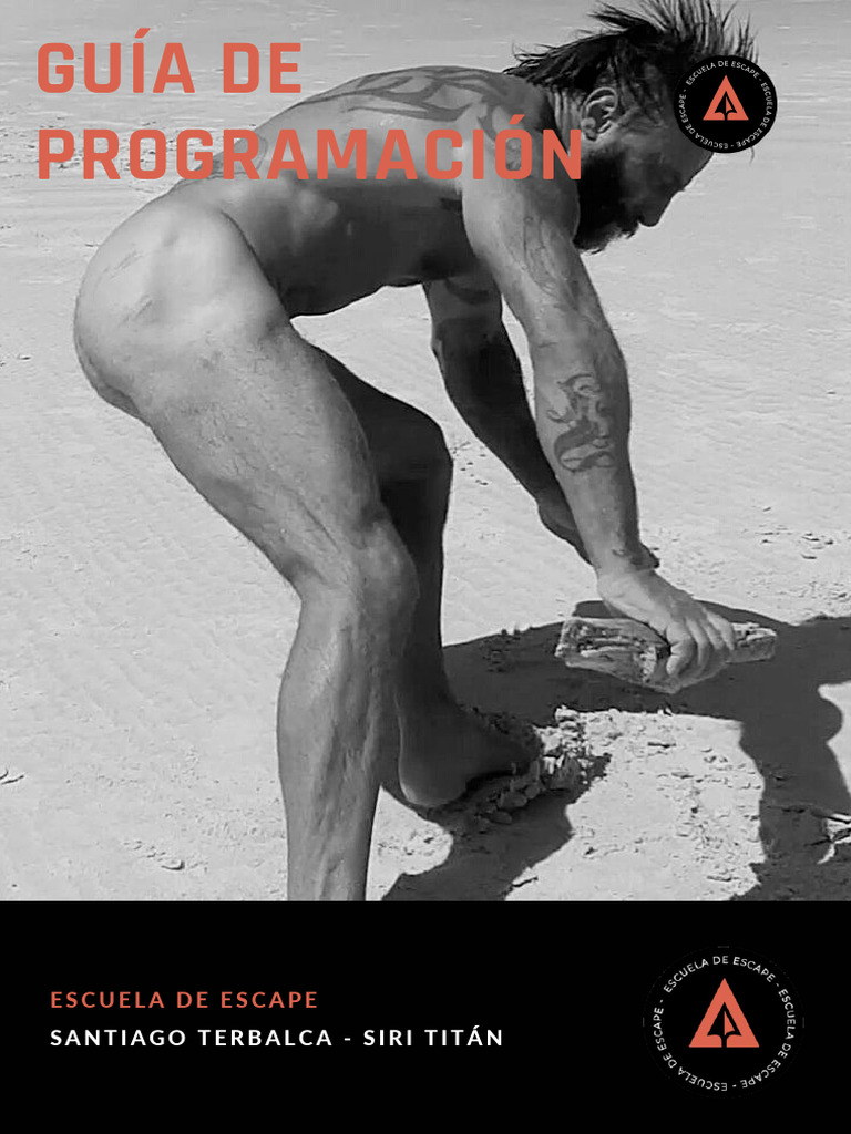 Guía de Programación ESC | PDF | Fuerza