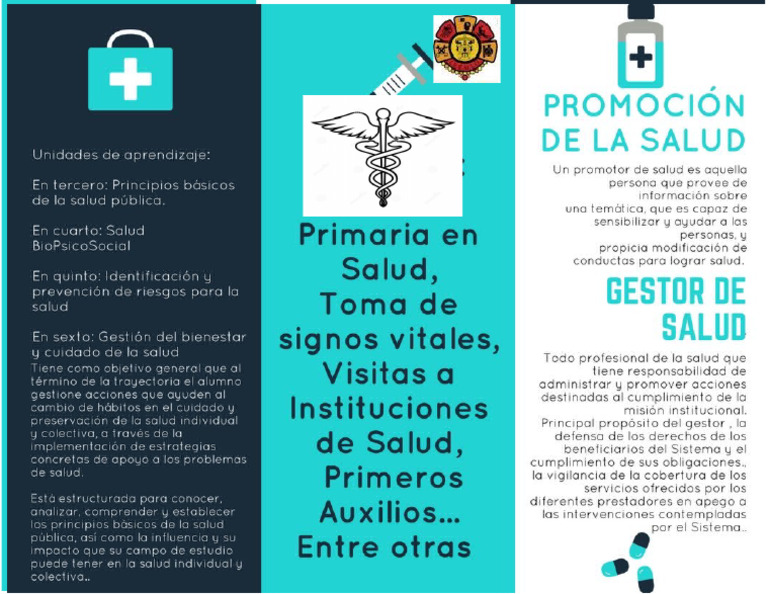 Triptico GESTION DE LA SALUD | PDF
