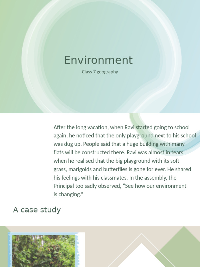 Environment | PDF