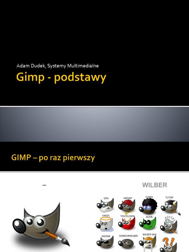 Gimp Podstawy | PDF