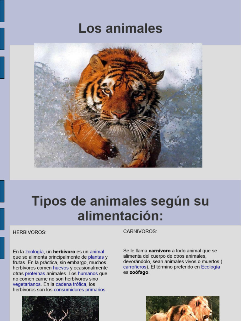 Presentacionanimales 090420051303 Phpapp01 | PDF | Puma | Depredación