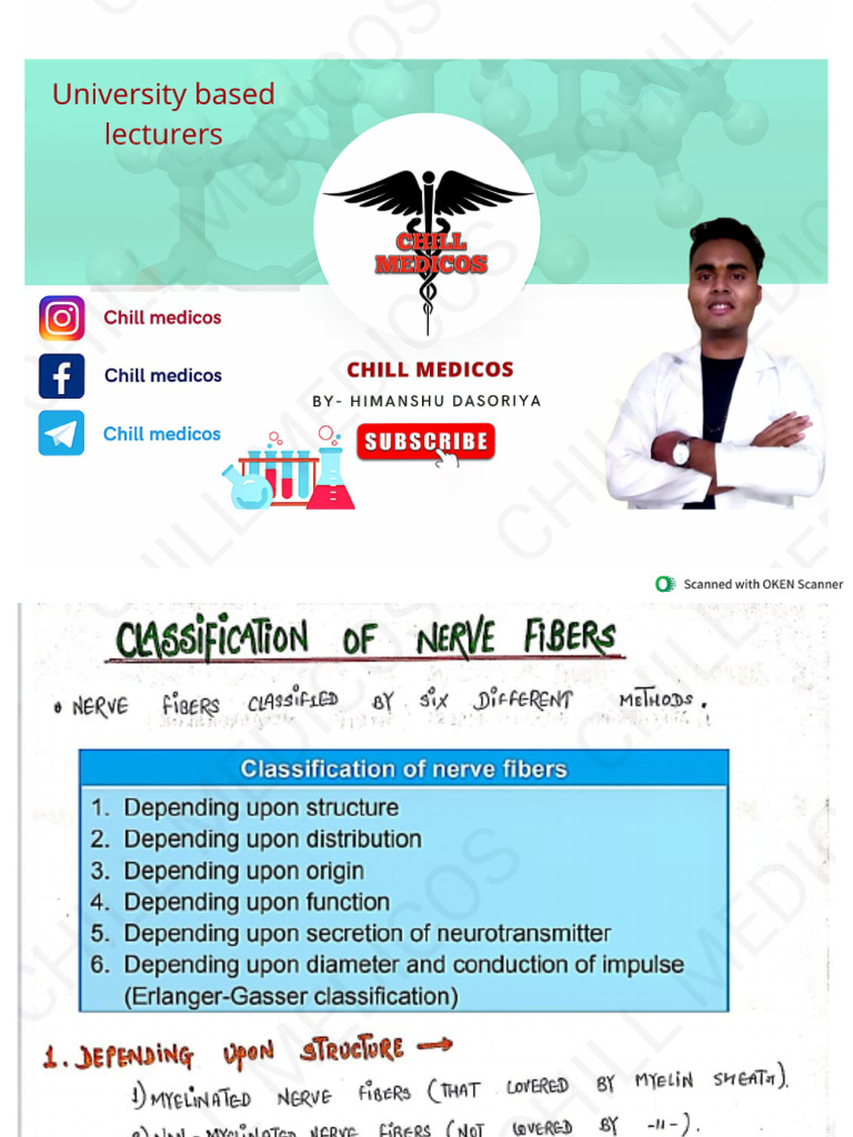 CNS Physiology Notes | PDF