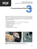 Planner Bundle - Wolfie Designs | PDF