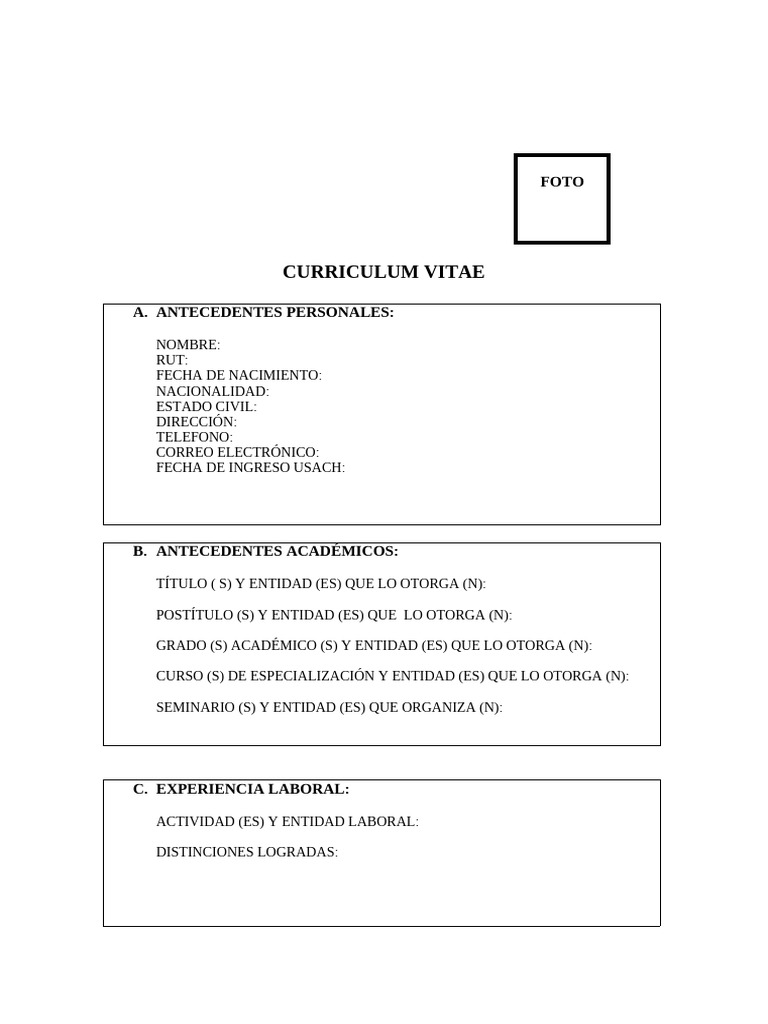 Modelo de Curriculum | PDF