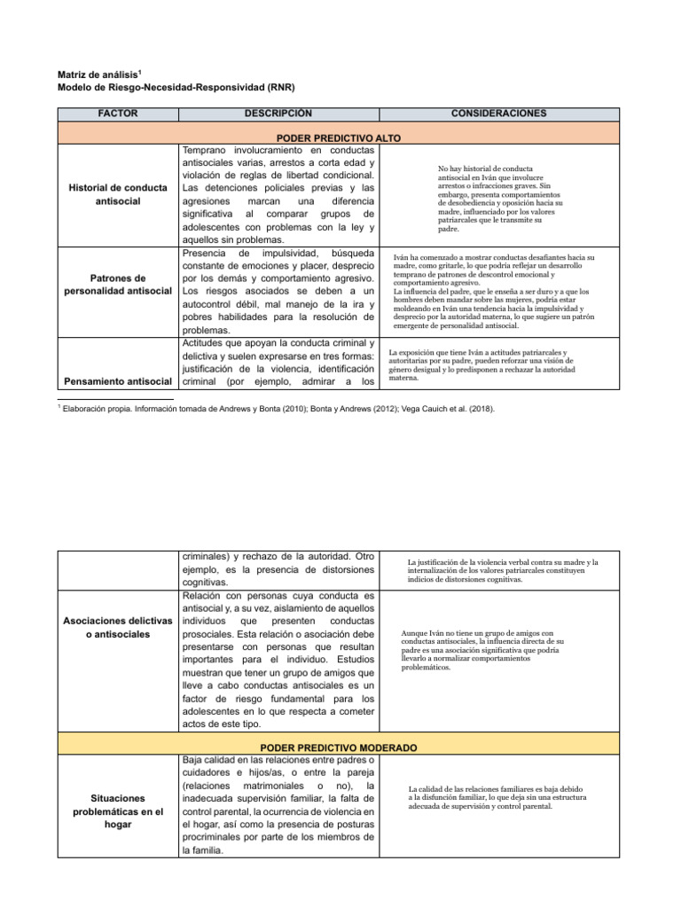 Matriz de Análisis - Modelo RNR-1-3 (1) - 1 2 | PDF | Comportamiento | Agresión