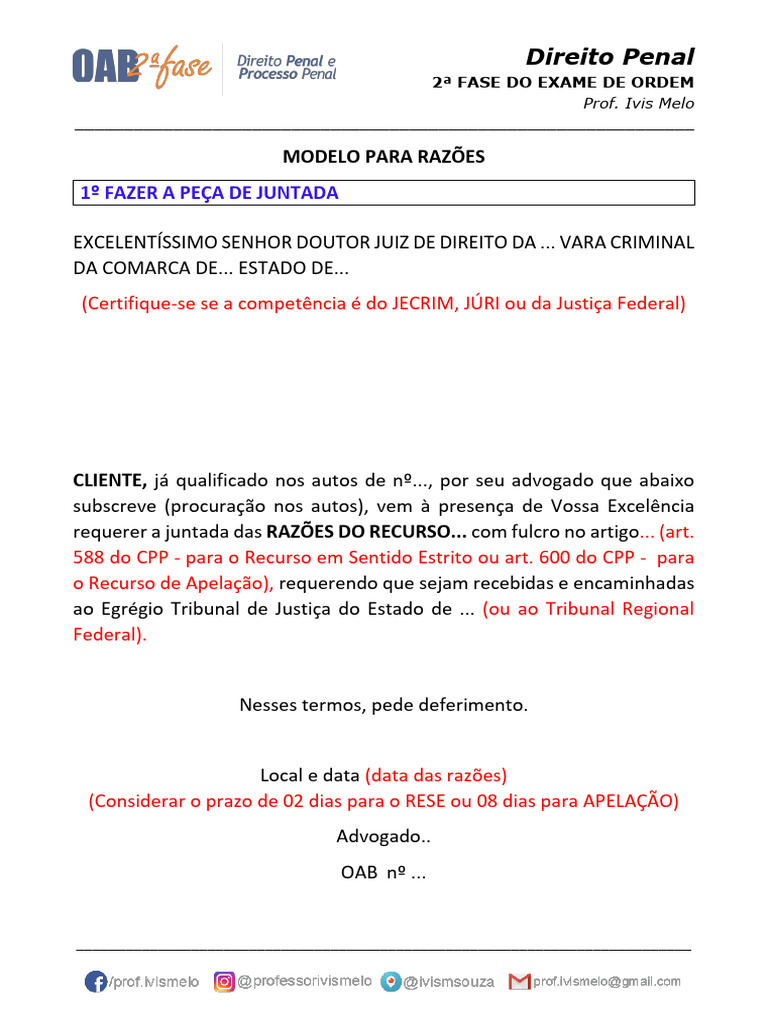 Modelo de razões | PDF | Advogado | Direito Público