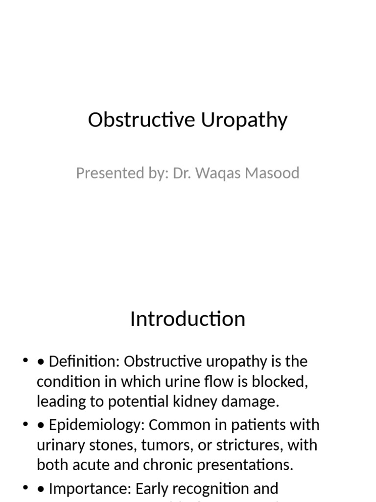 Obstructive Uropathy Presentation | PDF | Kidney | Causes Of Death