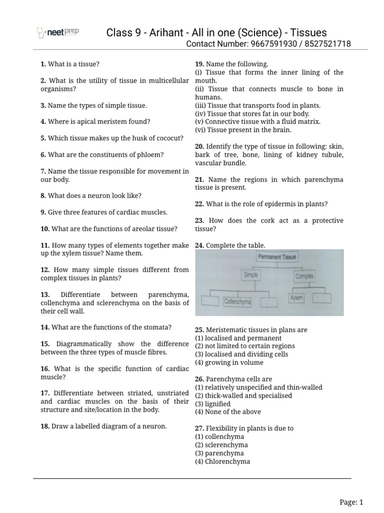 Class 9 - Arihant - All in One (Science) - Tissues | PDF | Tissue ...