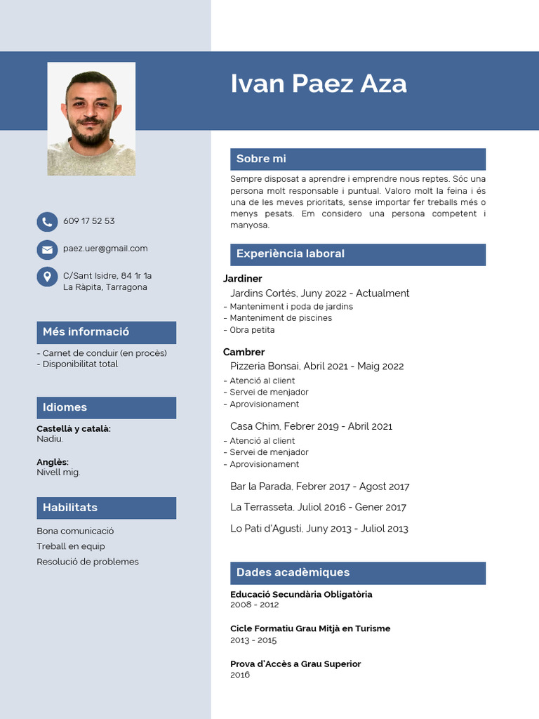 Currículum Ivan | PDF