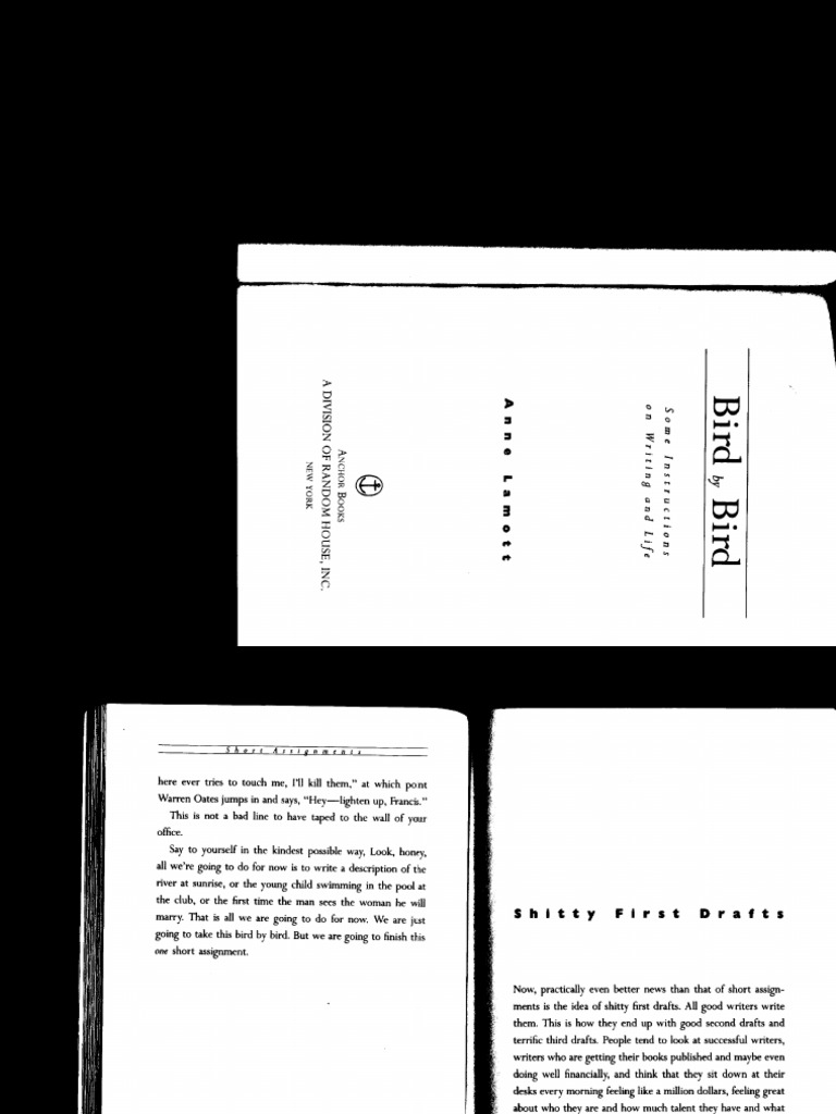 Lamott Shitty First Drafts | PDF