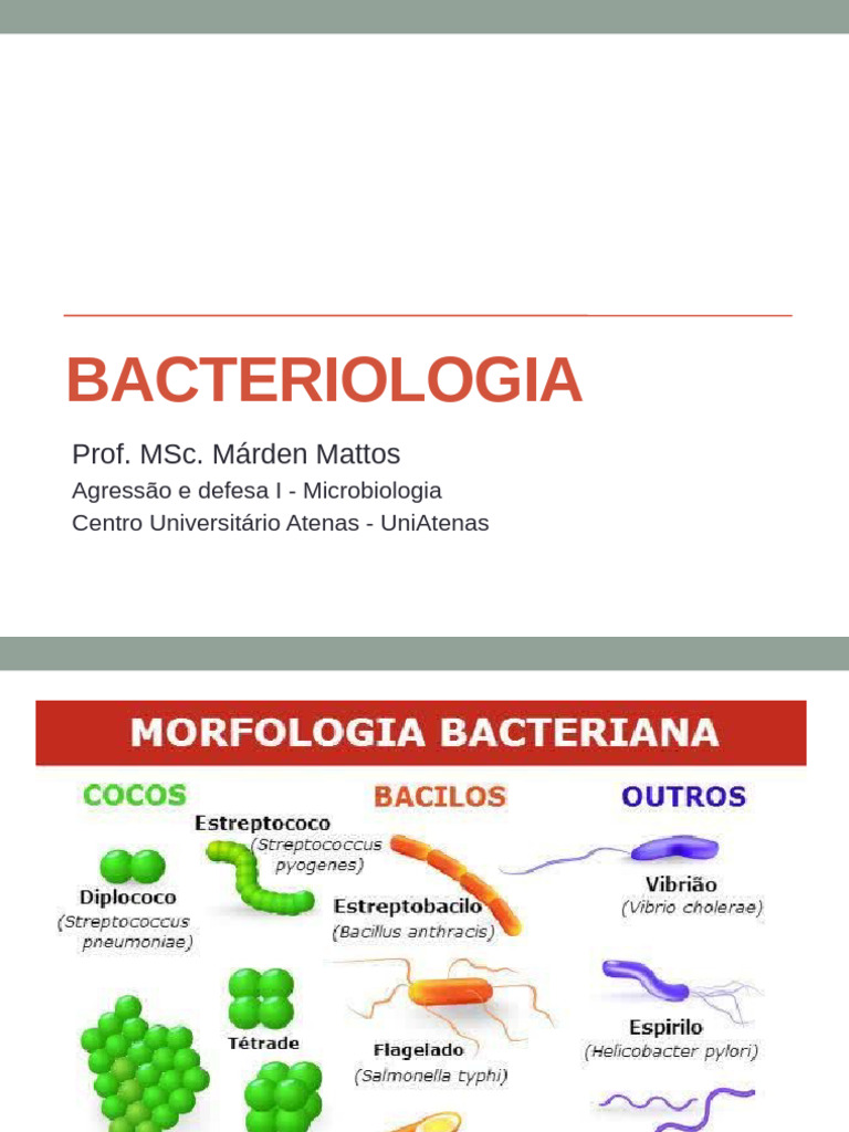 Bacteriologia Geral 2024 | PDF | Bactérias | Meio de cultura