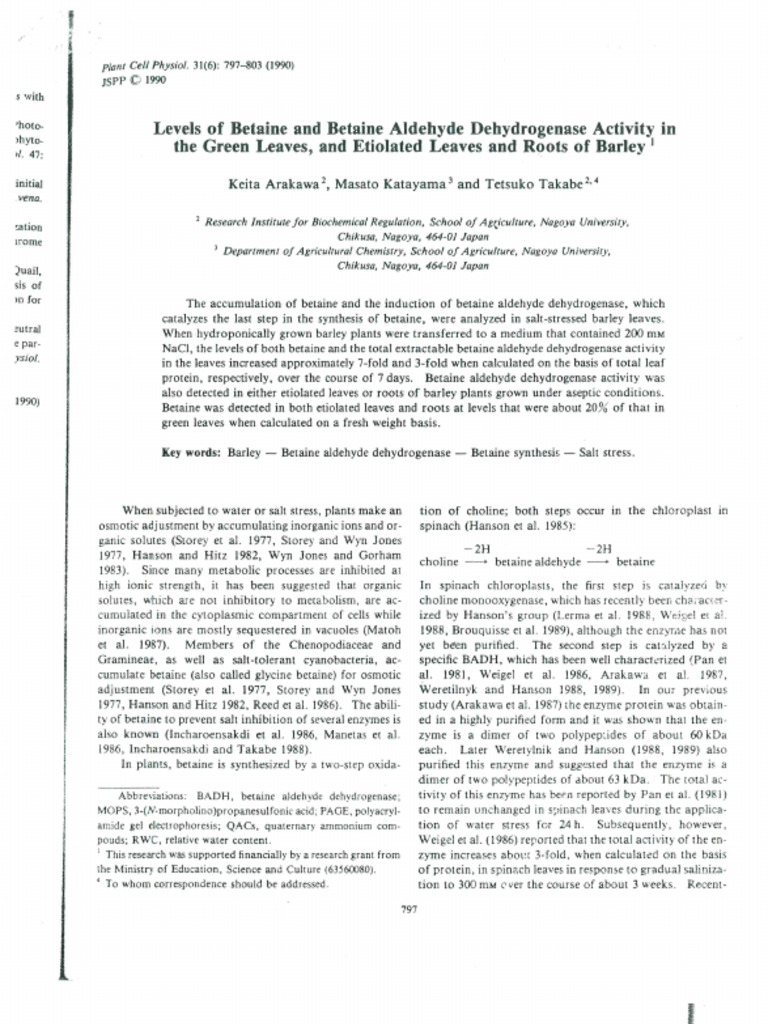 1990 Plant Cell Physiol 31 (6) Arakawa | PDF