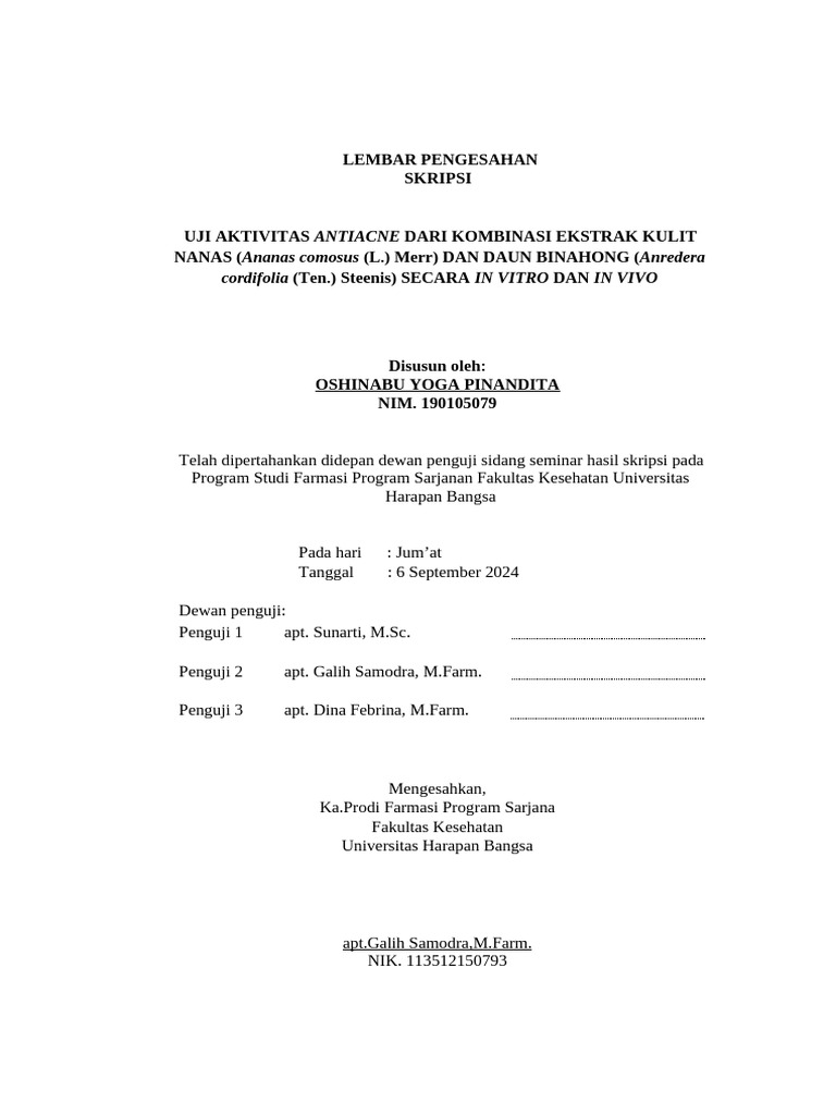 LEMBAR PENGESAHAN PDD | PDF