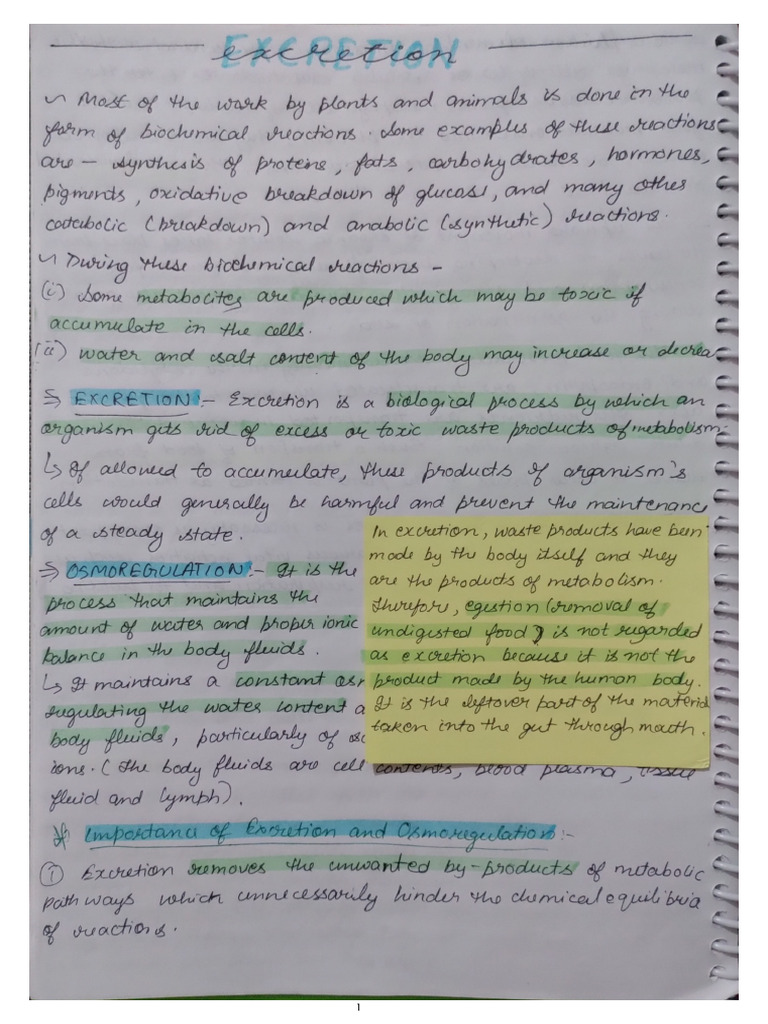EXCRETION Life Processes Class 10th | PDF