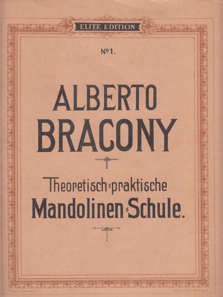 Bracony - Theoretisch Praktische Mandoline Schule | PDF