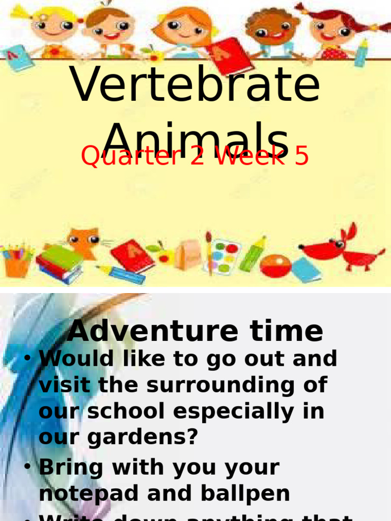 Vertebrate Animals | PDF