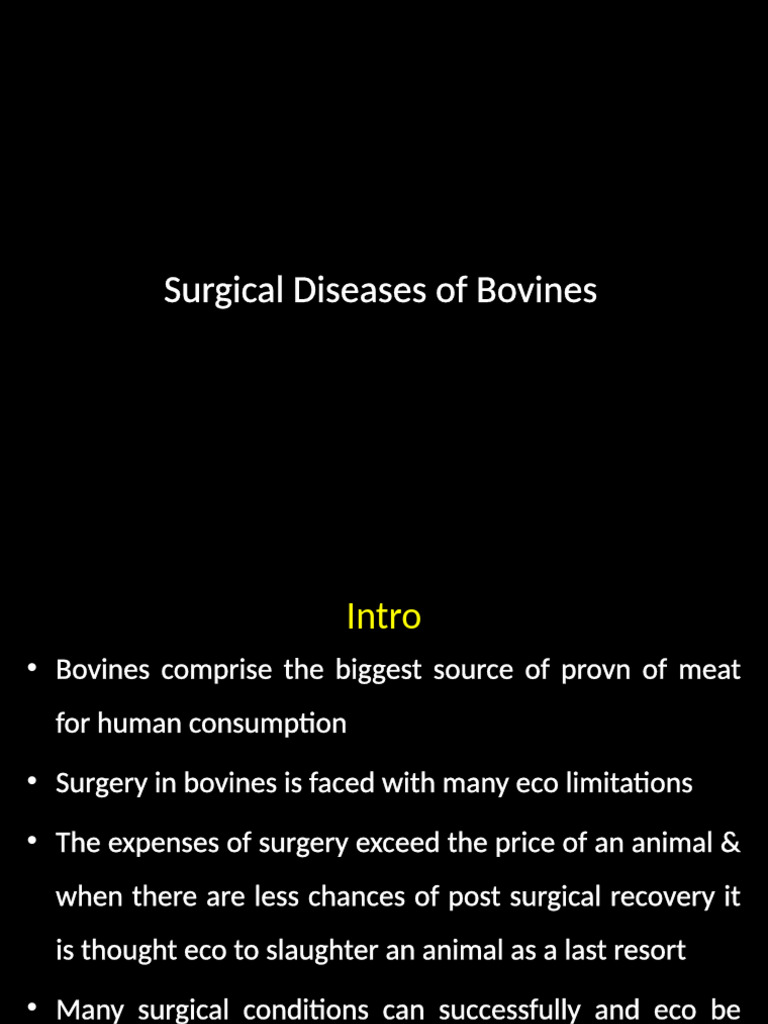 Bovine Surgical Diseases | PDF | Abdomen | Peritoneum