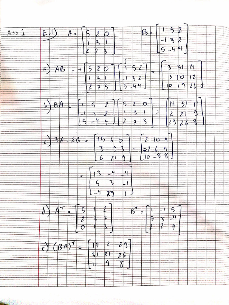 Assignment 1 Linear Algebra | PDF