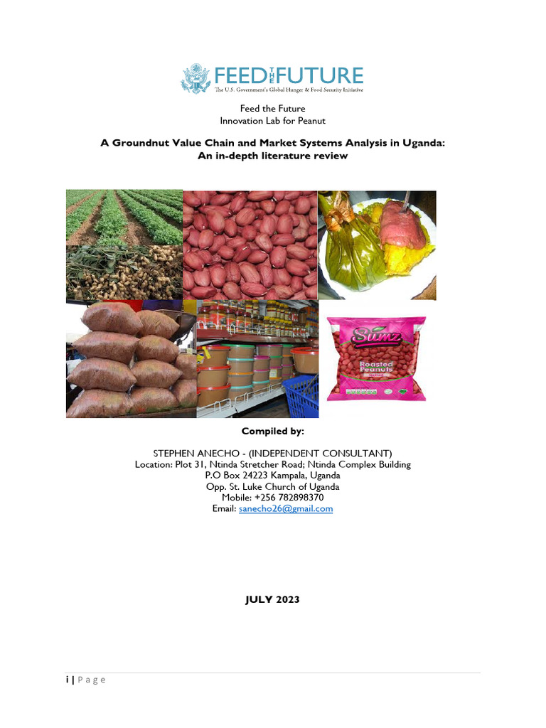 Uganda Groundnut Value Chain | PDF | Peanuts | Food Security