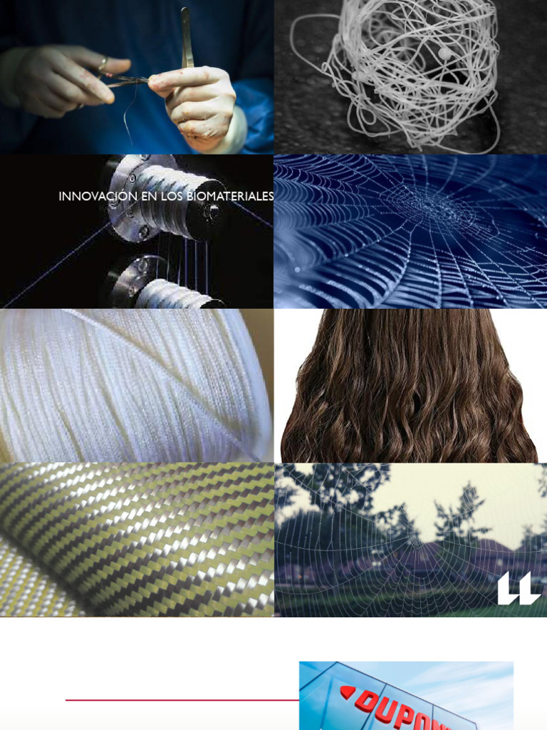 Telaraña Artificial | PDF | Textiles | Adn