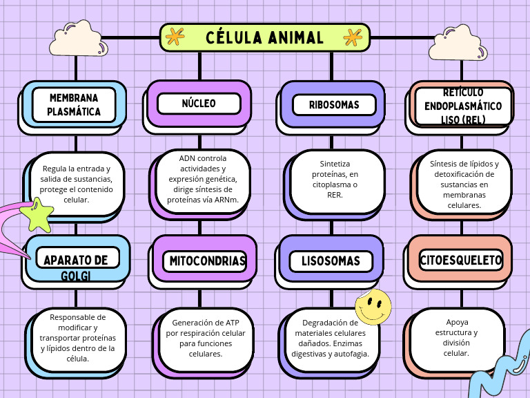 Estructura y Funciones de la Célula Animal | PDF