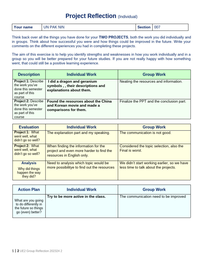 Group Reflection Template 202324 2 | PDF | Cognition | Cognitive Science