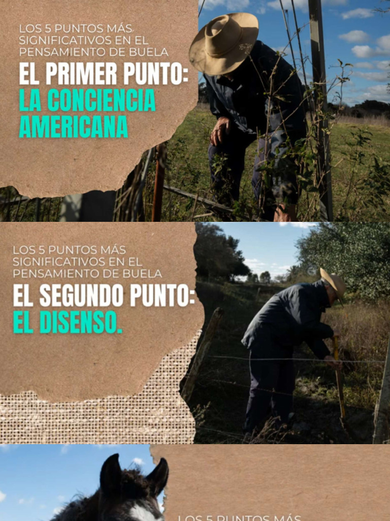Buela, Alberto - 5 Puntos de Su Pensamiento | PDF