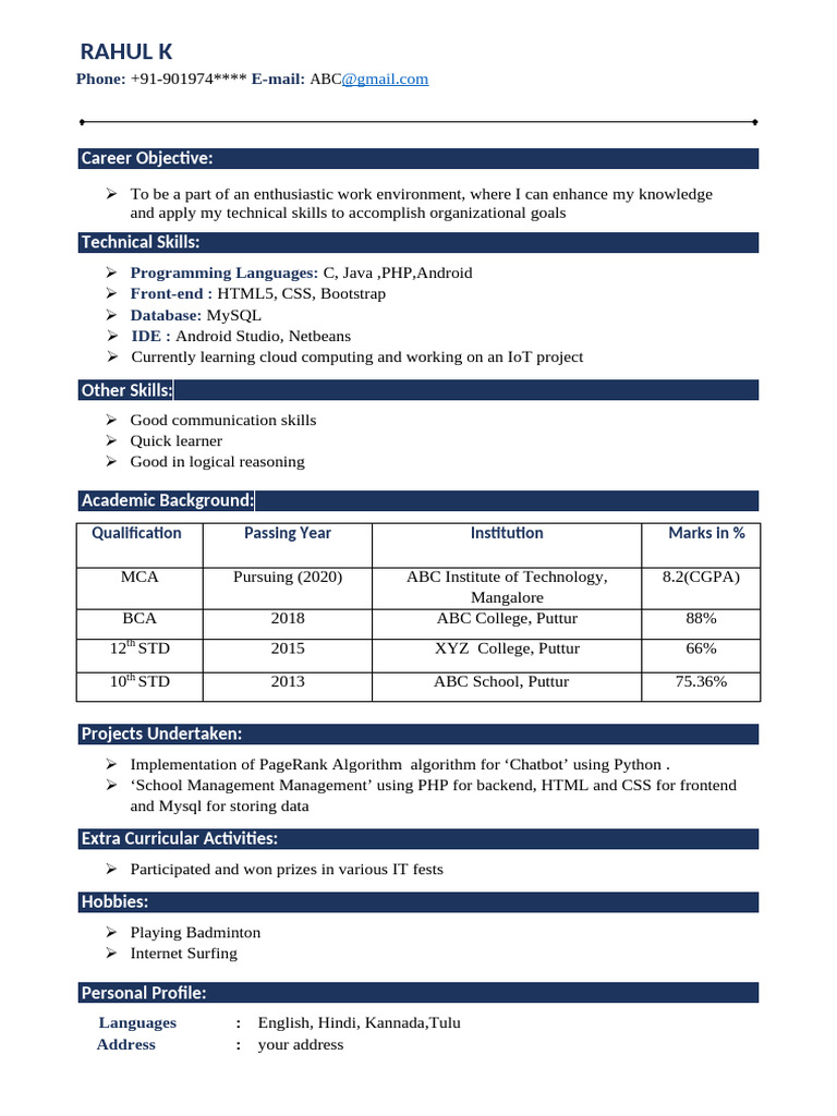Resume Format 3 | PDF | Computers