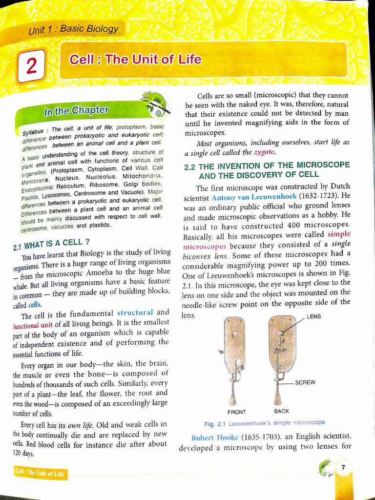 Cell-Unit of Life | PDF | Microscope | Cell (Biology)