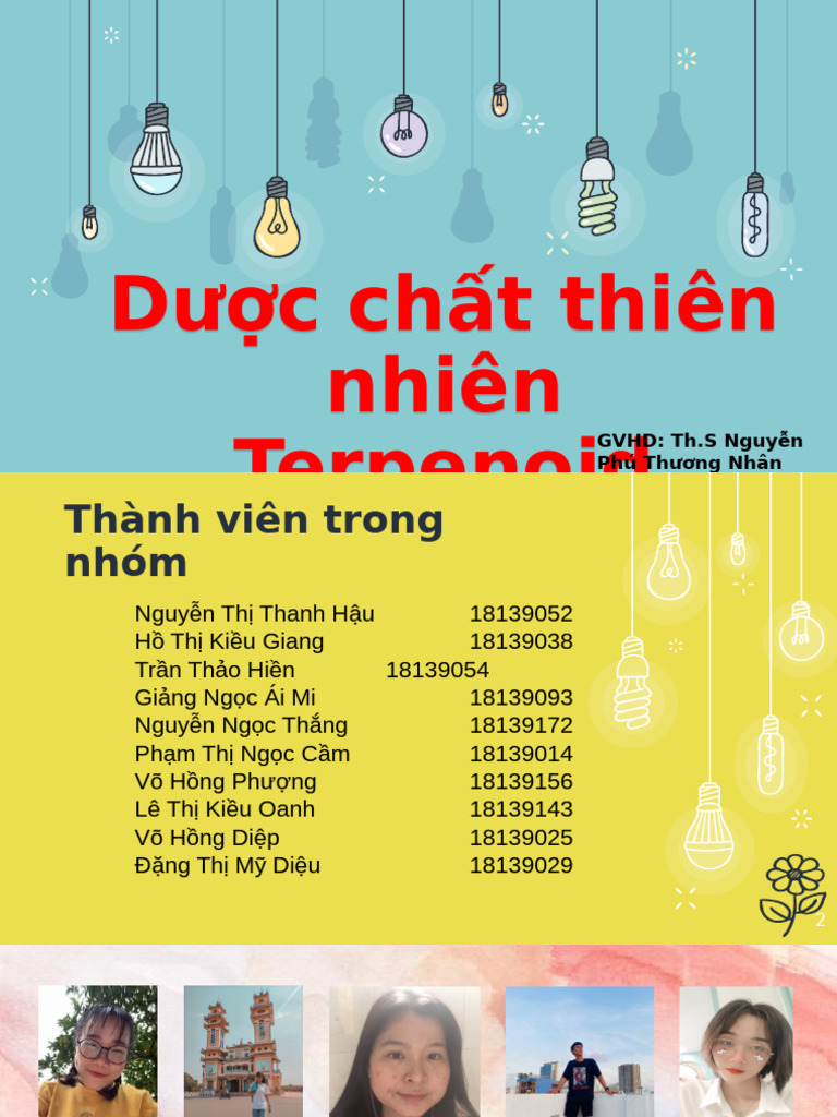NHÓM 01 - Terpenoid DCTN - SÁNG TH 7 - CA2 1 | PDF