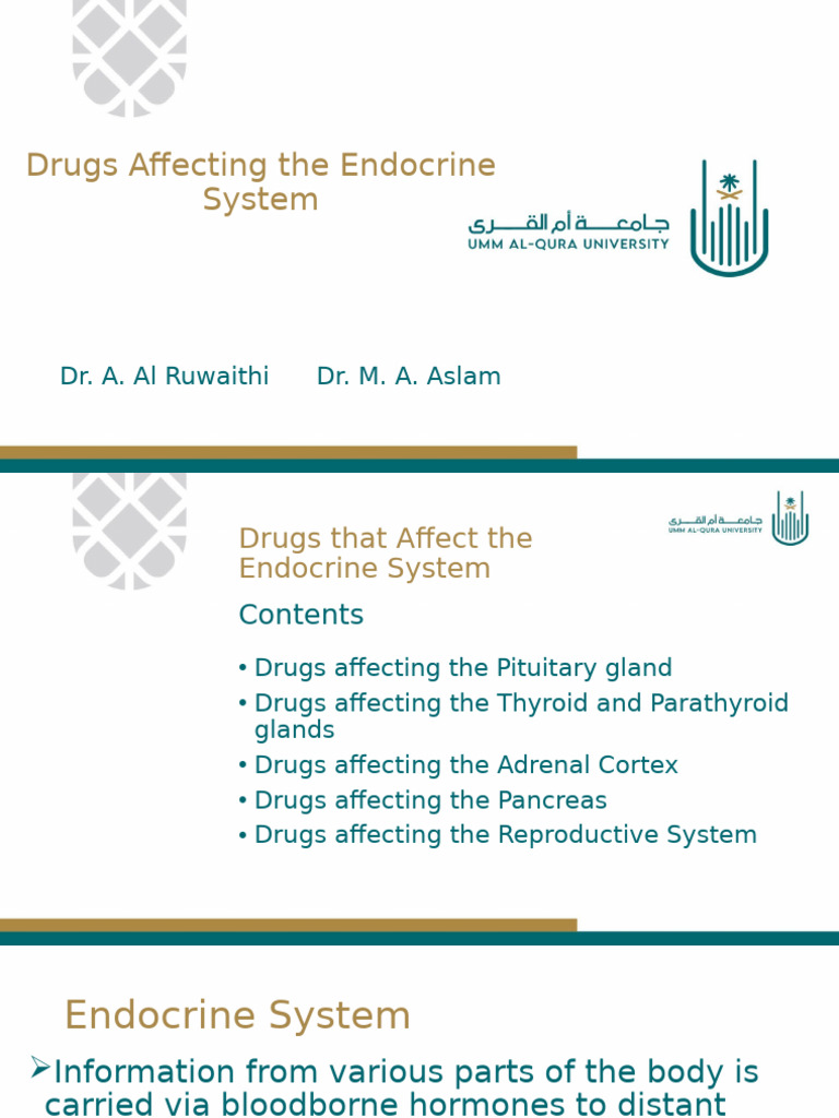 Endocrine System Drug Effects Explained | PDF | Endocrine System ...