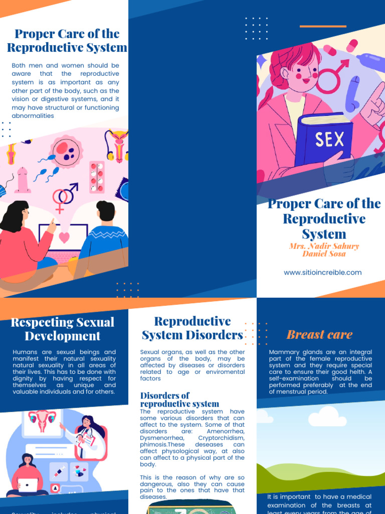 Proper Care of The Reproductive System Brochure | PDF | Breast | Human ...