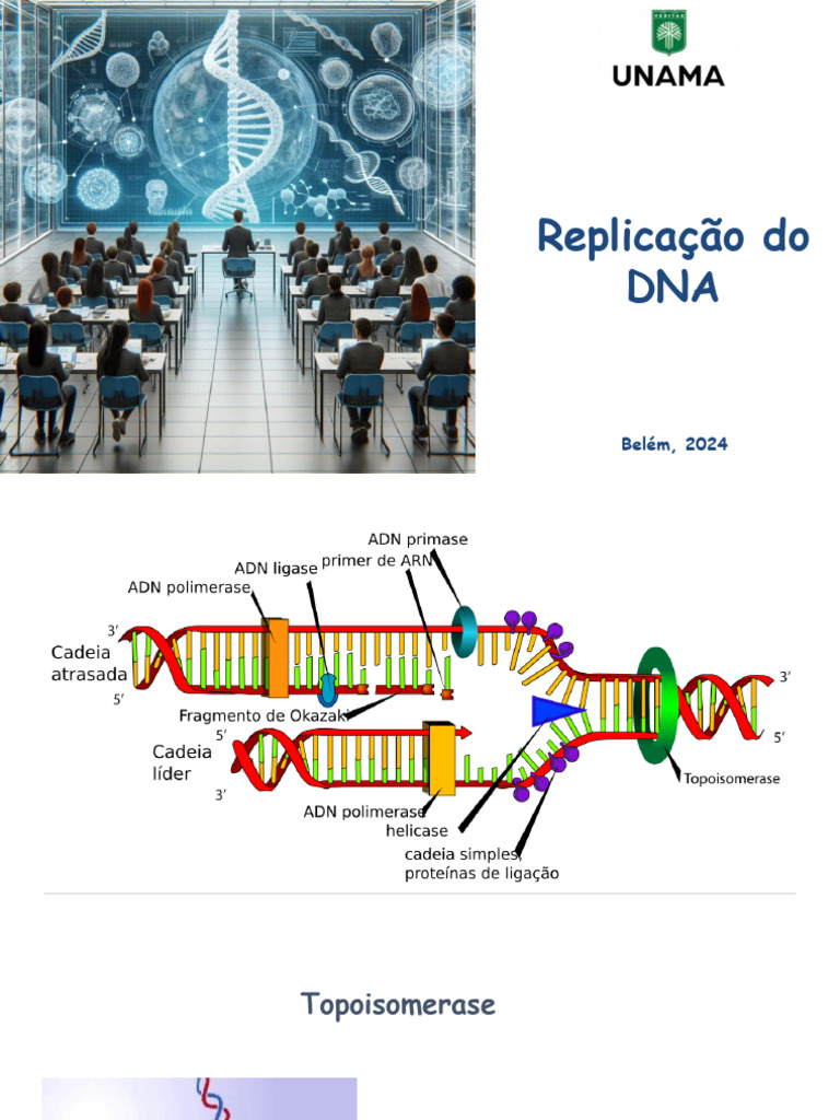 Aula 3 Replicação Do DNA Enzimas | PDF | Replicação de DNA | DNA